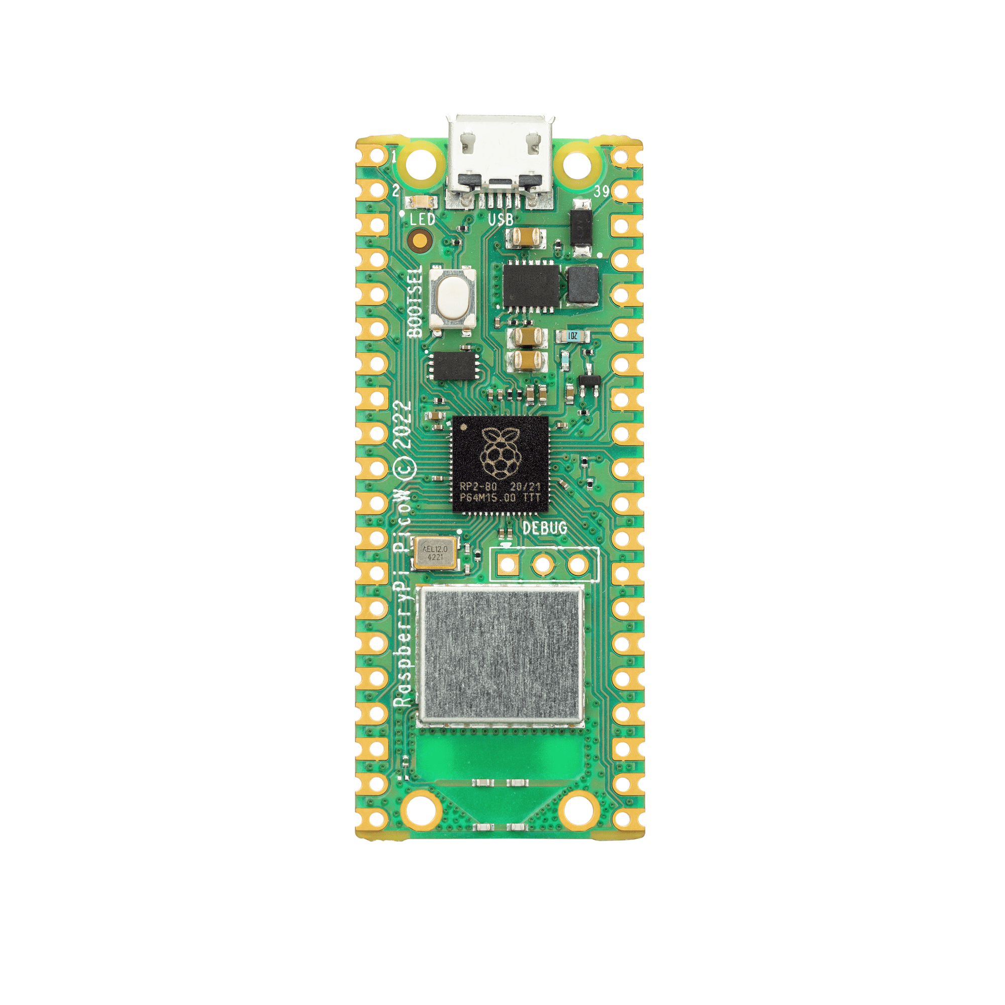 Raspberry Pi Pico W - Robo Nepal